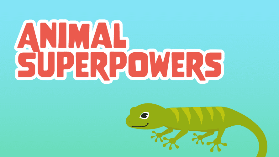 Animal Superpowers - LearningMole