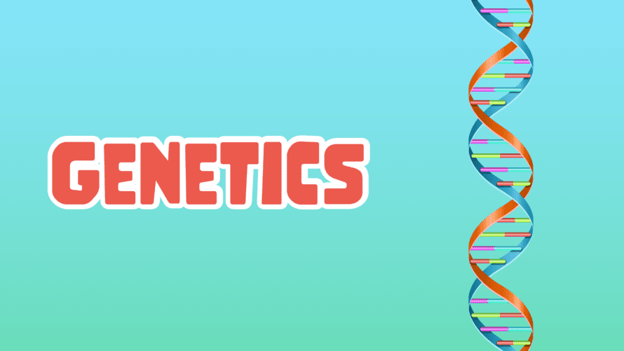 Genetics - LearningMole