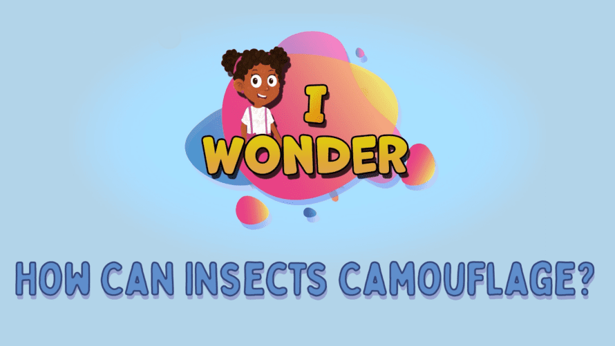 How Can Insects Camouflage? - LearningMole