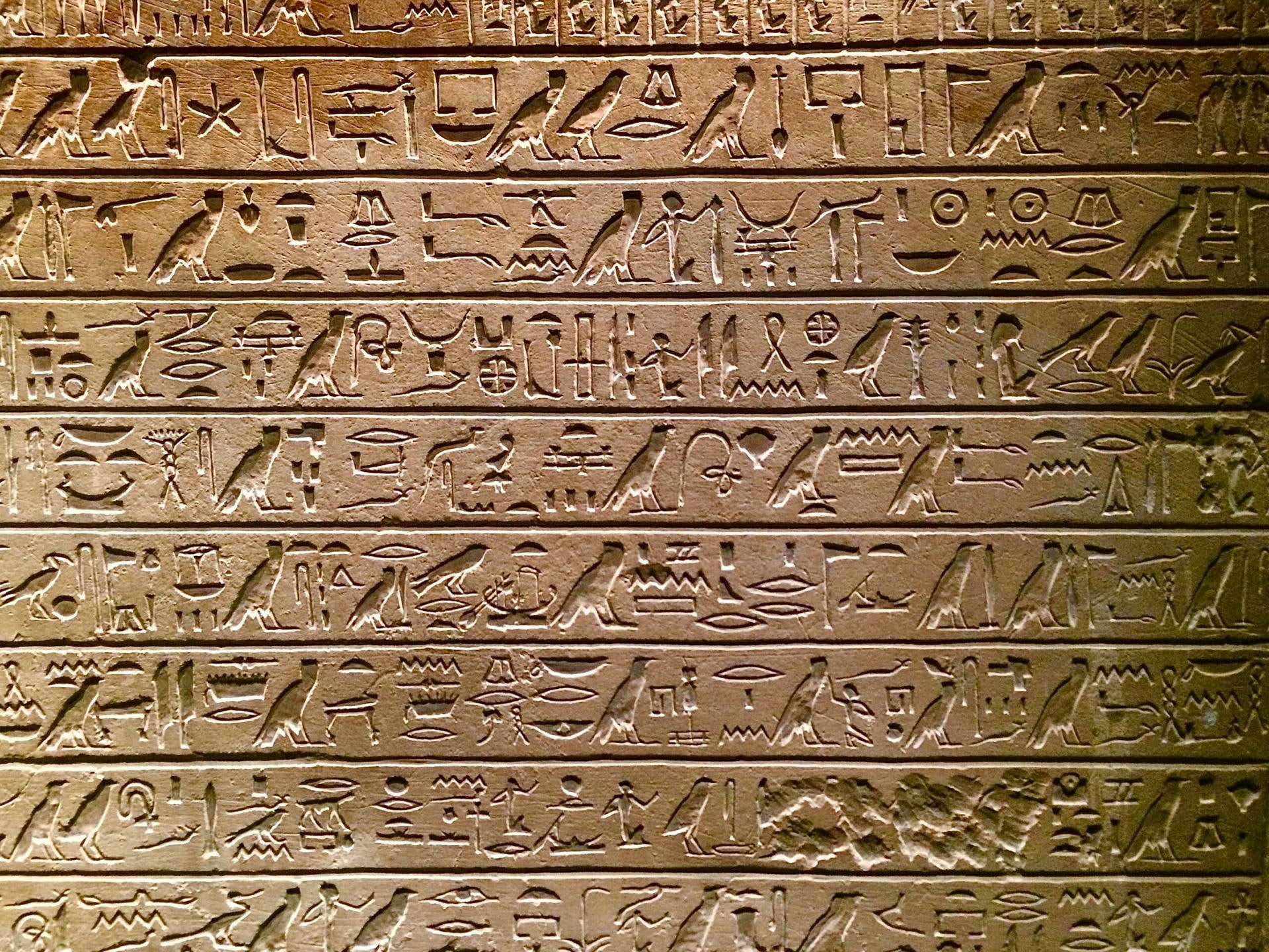 Hieroglyphs Facts for Kids - 5 Huge Facts