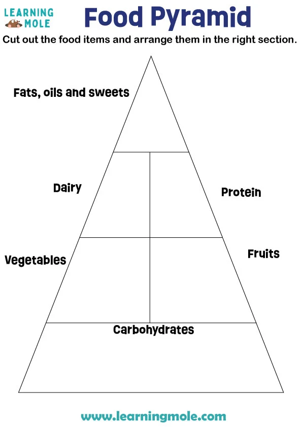 Human Body Resources - LearningMole