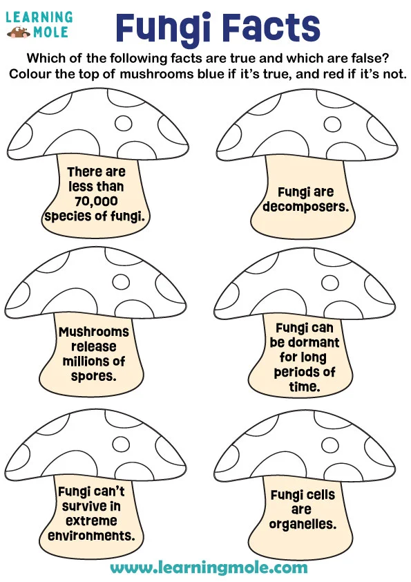 Science Resources - LearningMole