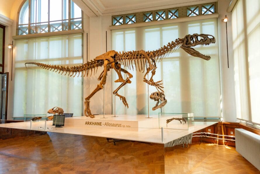 Dinosaur Expedition: Harnessing Maths to Excavate Beautiful Prehistoric ...