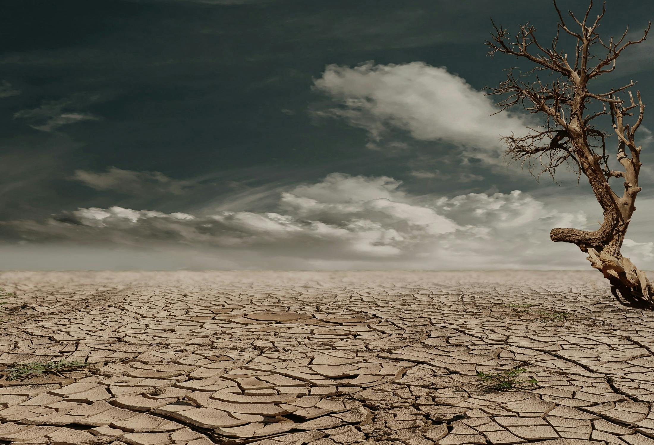 Droughts Facts for Kids - 5 Daring Facts about Droughts - LearningMole