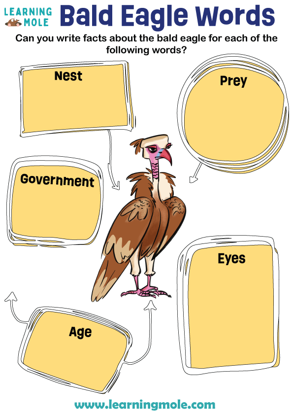 Animals Resources and Activities for Kids