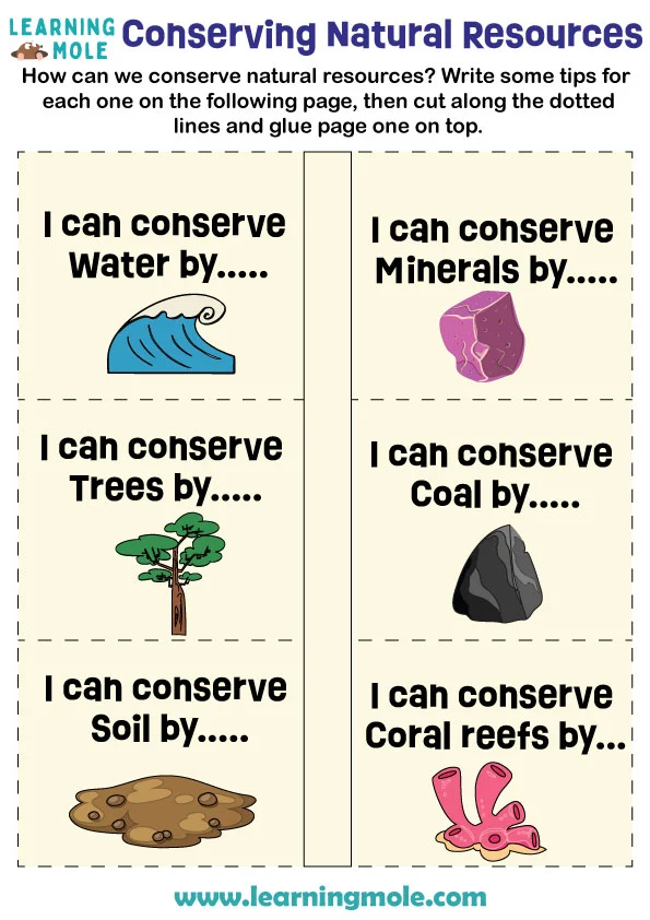 Environment Resources - LearningMole