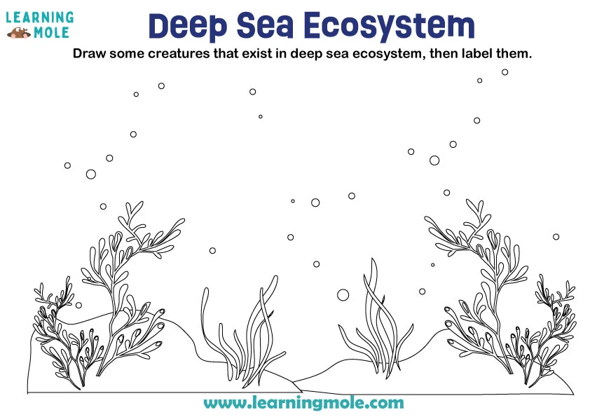 Environment Resources - LearningMole