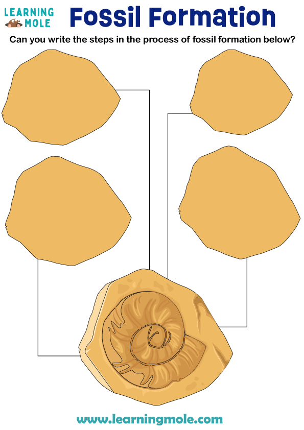 History Resources - LearningMole