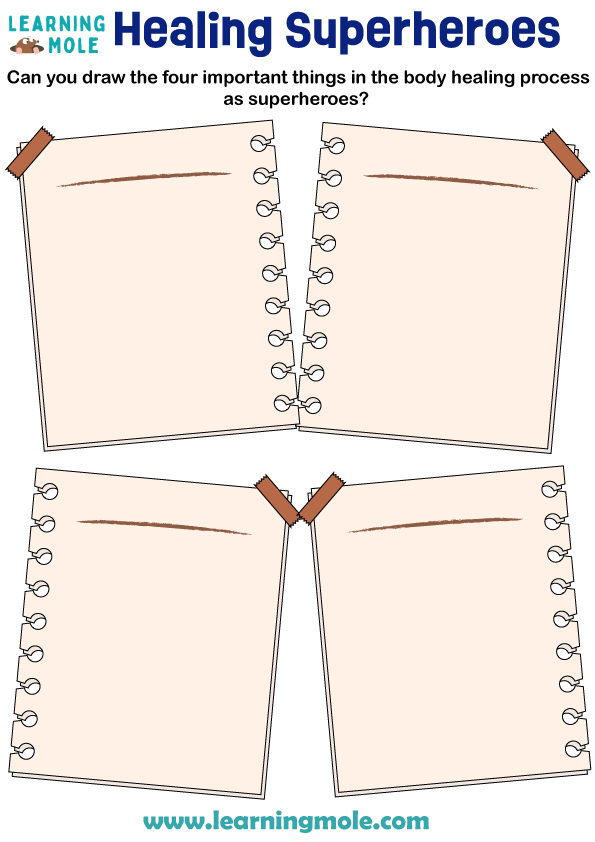 Human Body Resources - LearningMole