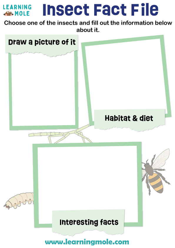 Animals Resources and Activities for Kids