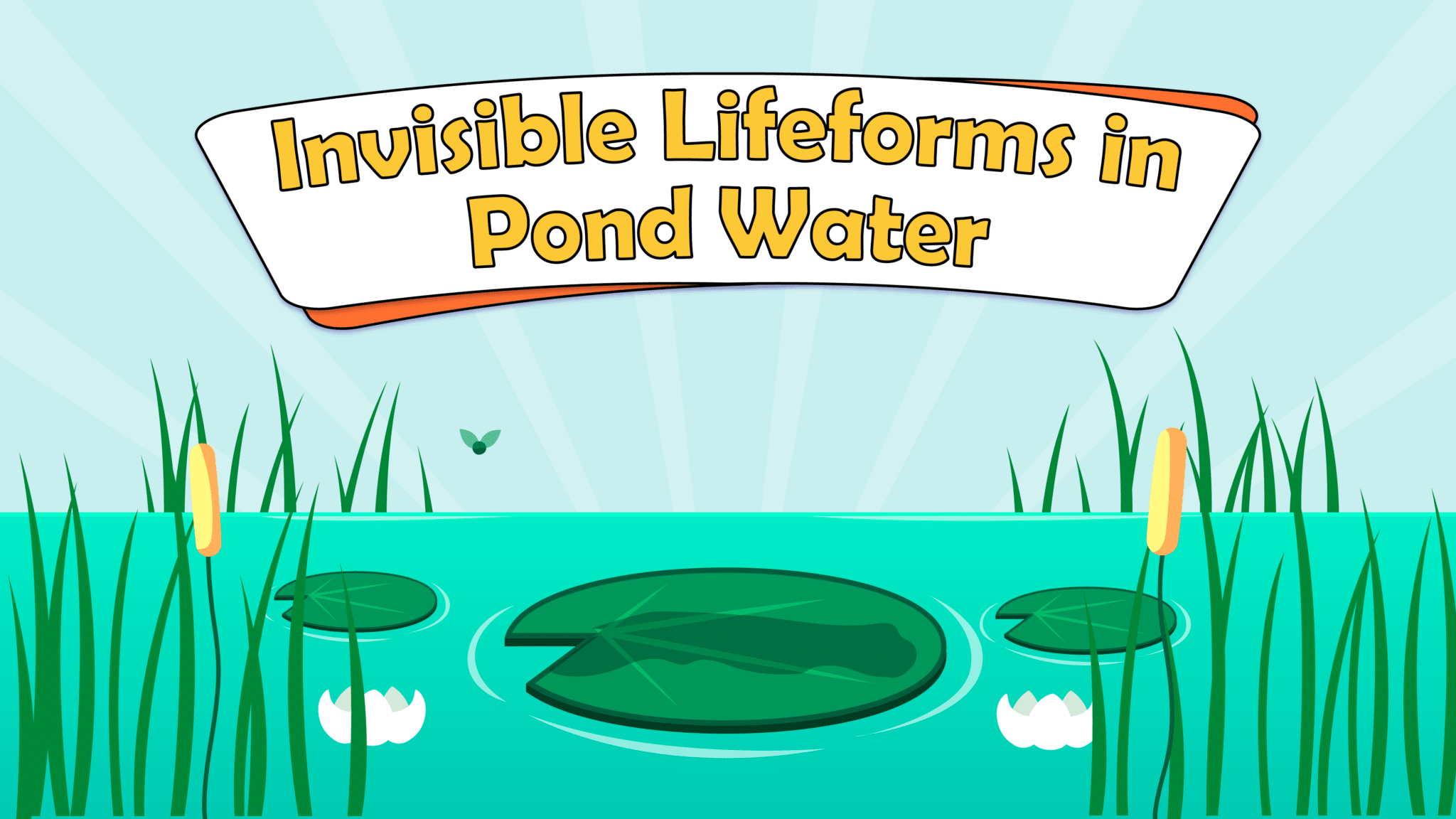 Ancient Geometry in Archaeology: Uncovering the Glorious Past Through Shapes - LearningMole