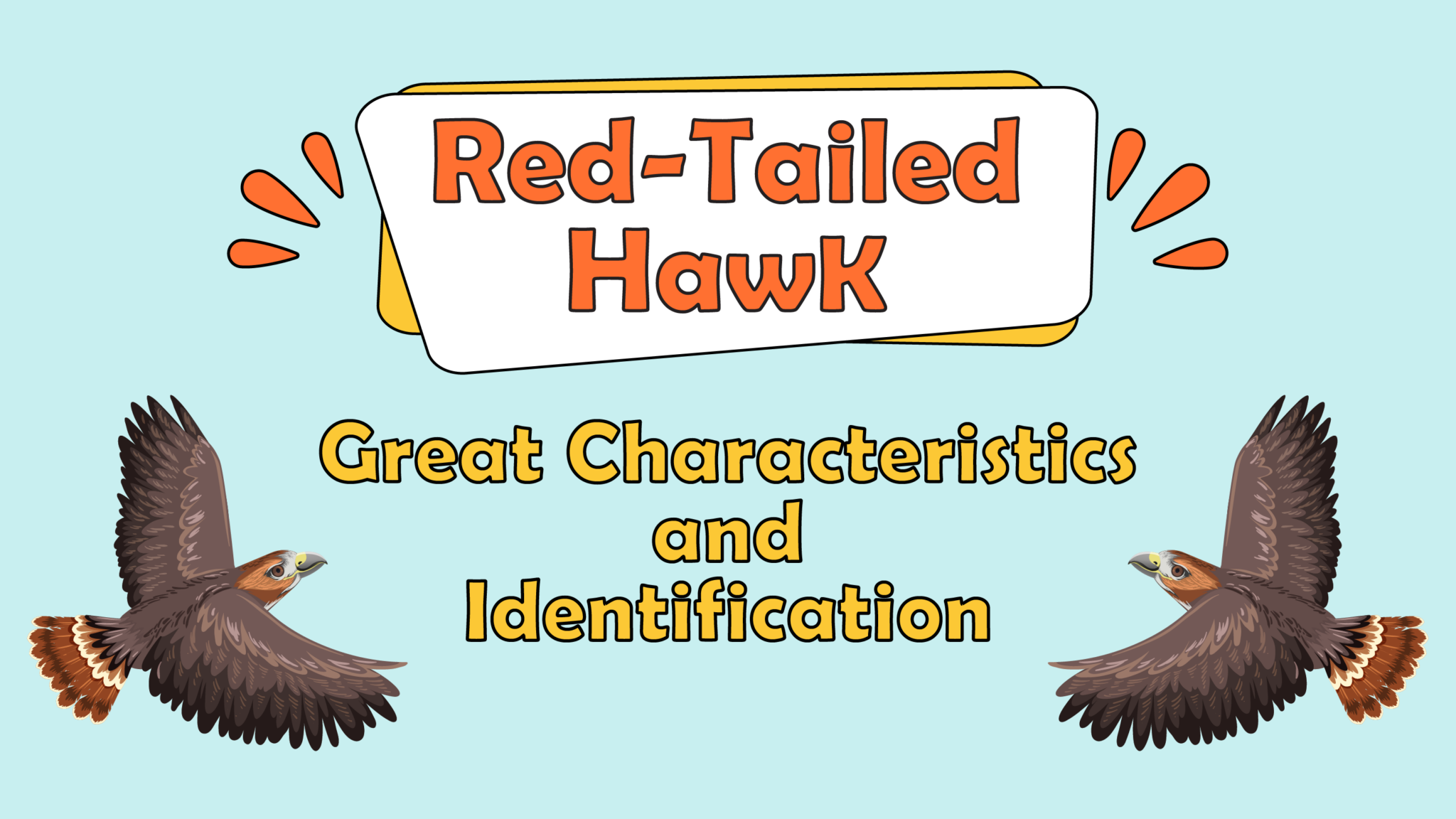 Assessing Student Learning with Effective Reading Comprehension Activities - LearningMole