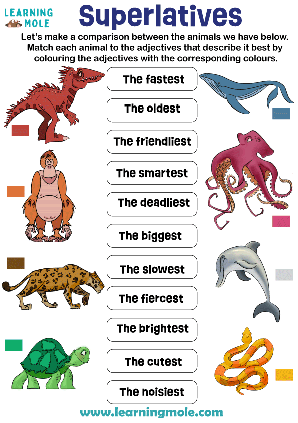 English Resources: Interactive Language Learning Activities