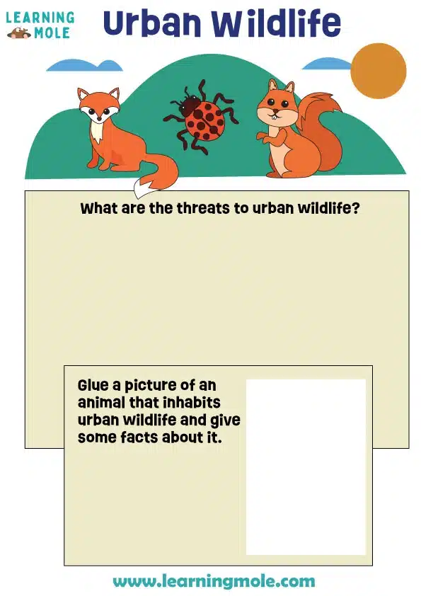 Environment Resources - LearningMole