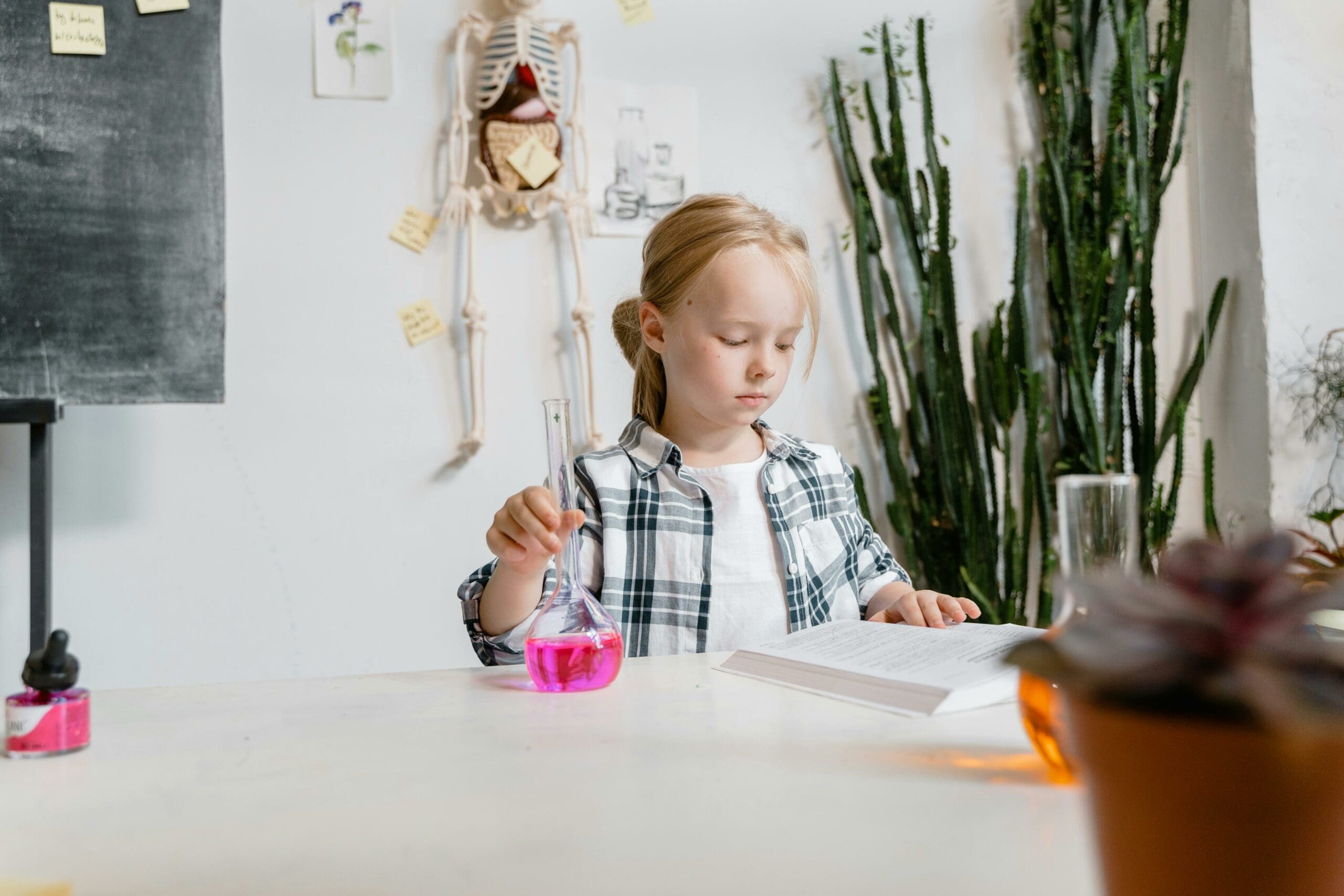 Mentos Geyser: Creating a Spectacular Soda Fountain at Home - LearningMole
