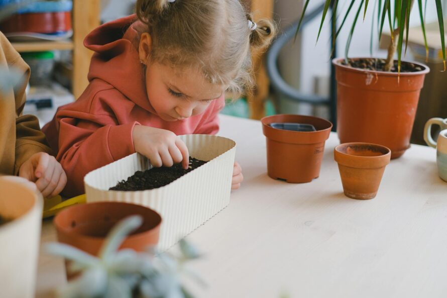 Planting Seeds: Fun Activities for Children - LearningMole