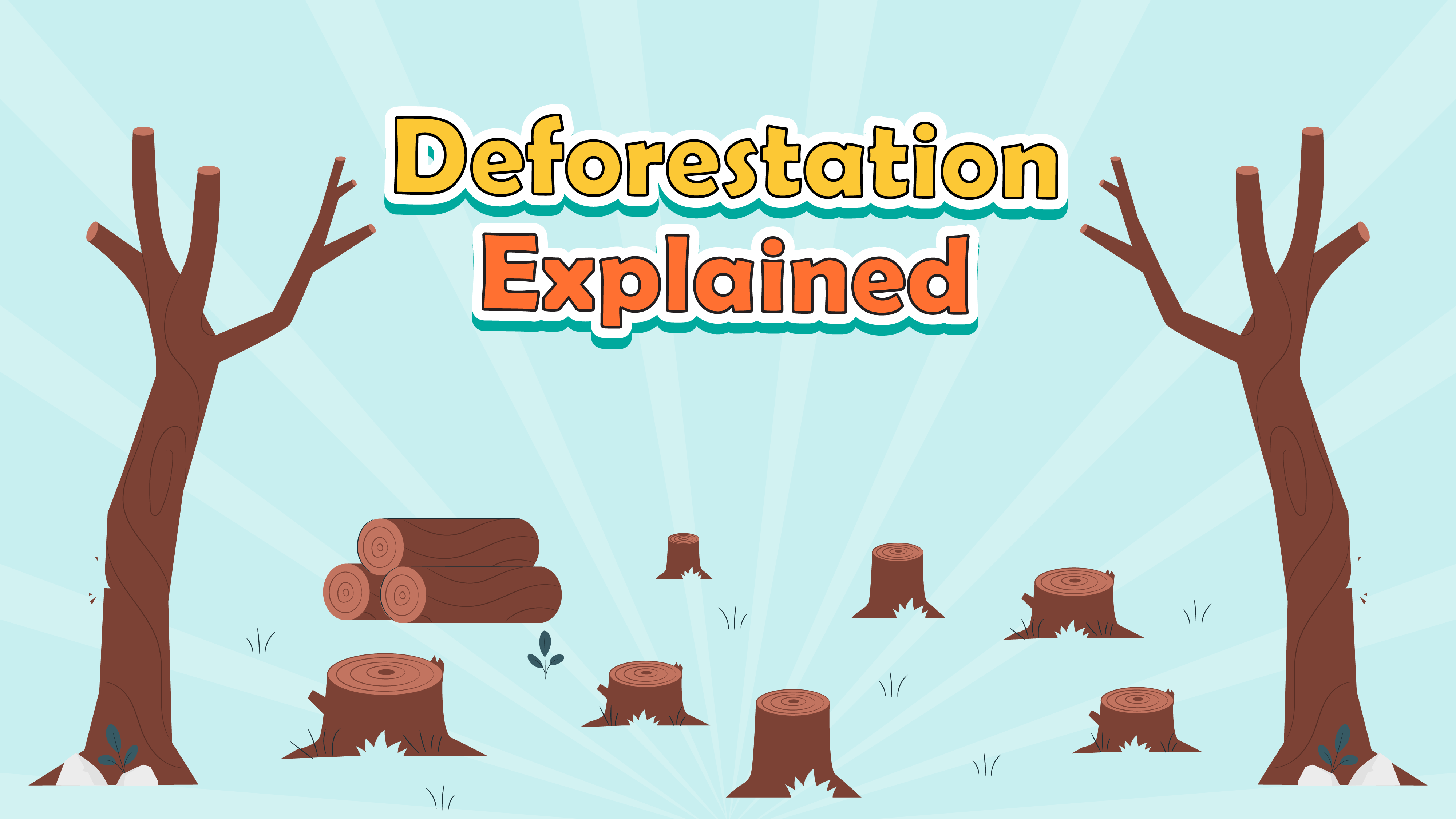 Spelling and Vocabulary: Top 10 Classroom Activities