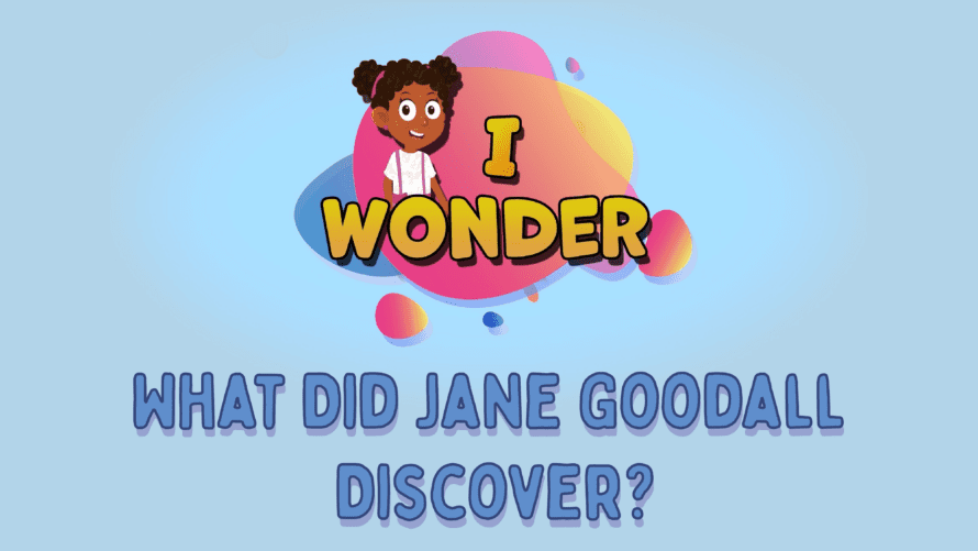 What Did Jane Goodall Discover? - LearningMole