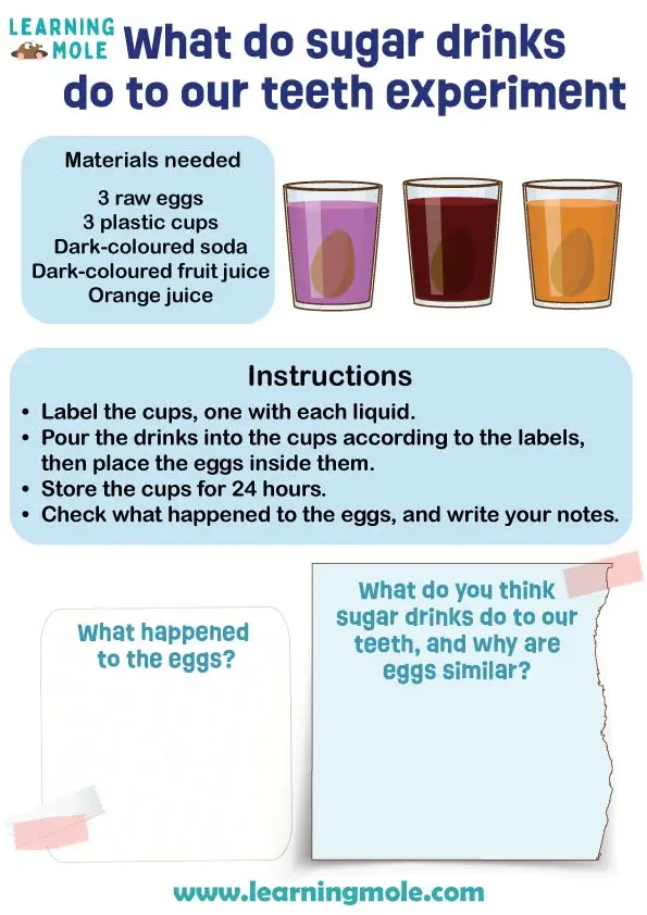 Human Body Resources - LearningMole