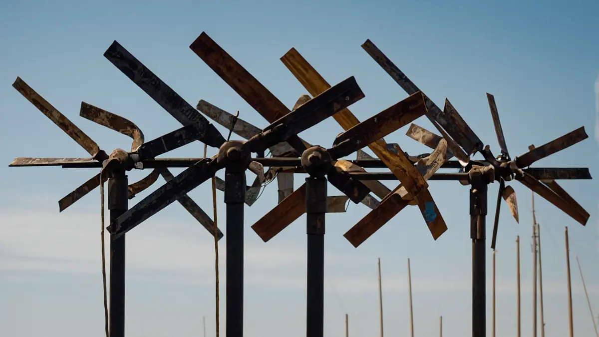 Backyard Weather vane: A Guide to Monitoring Local Winds - LearningMole