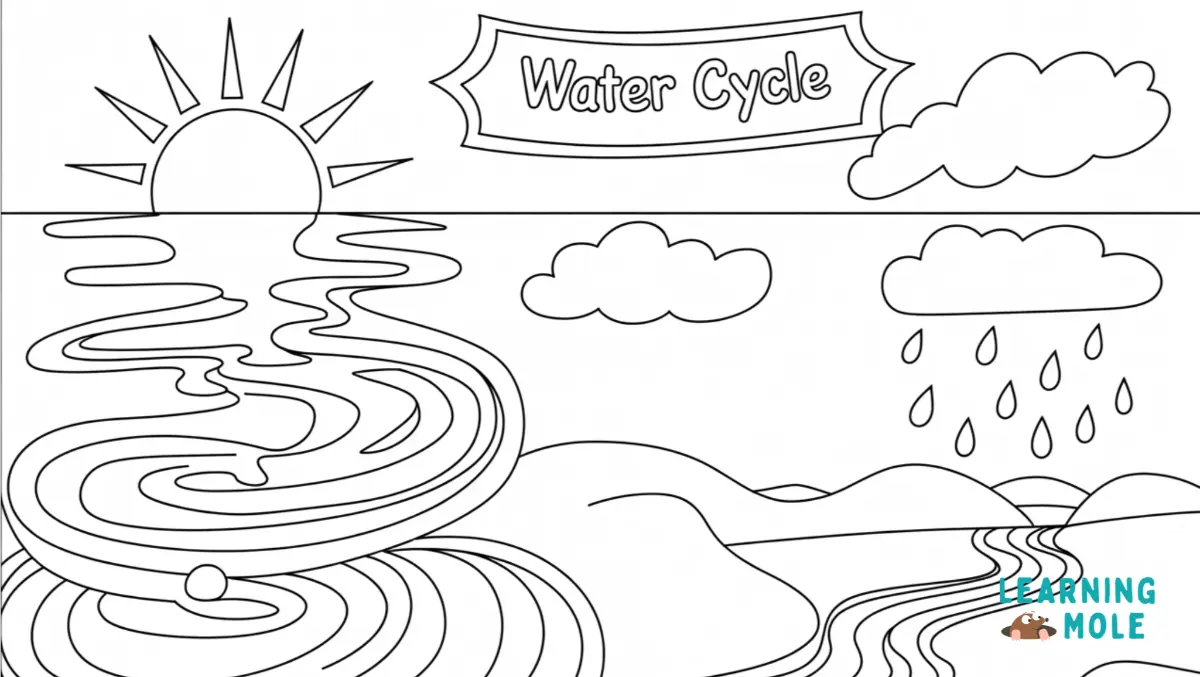 Water Cycle Activities for KS2: Fun Hands-On Experiments