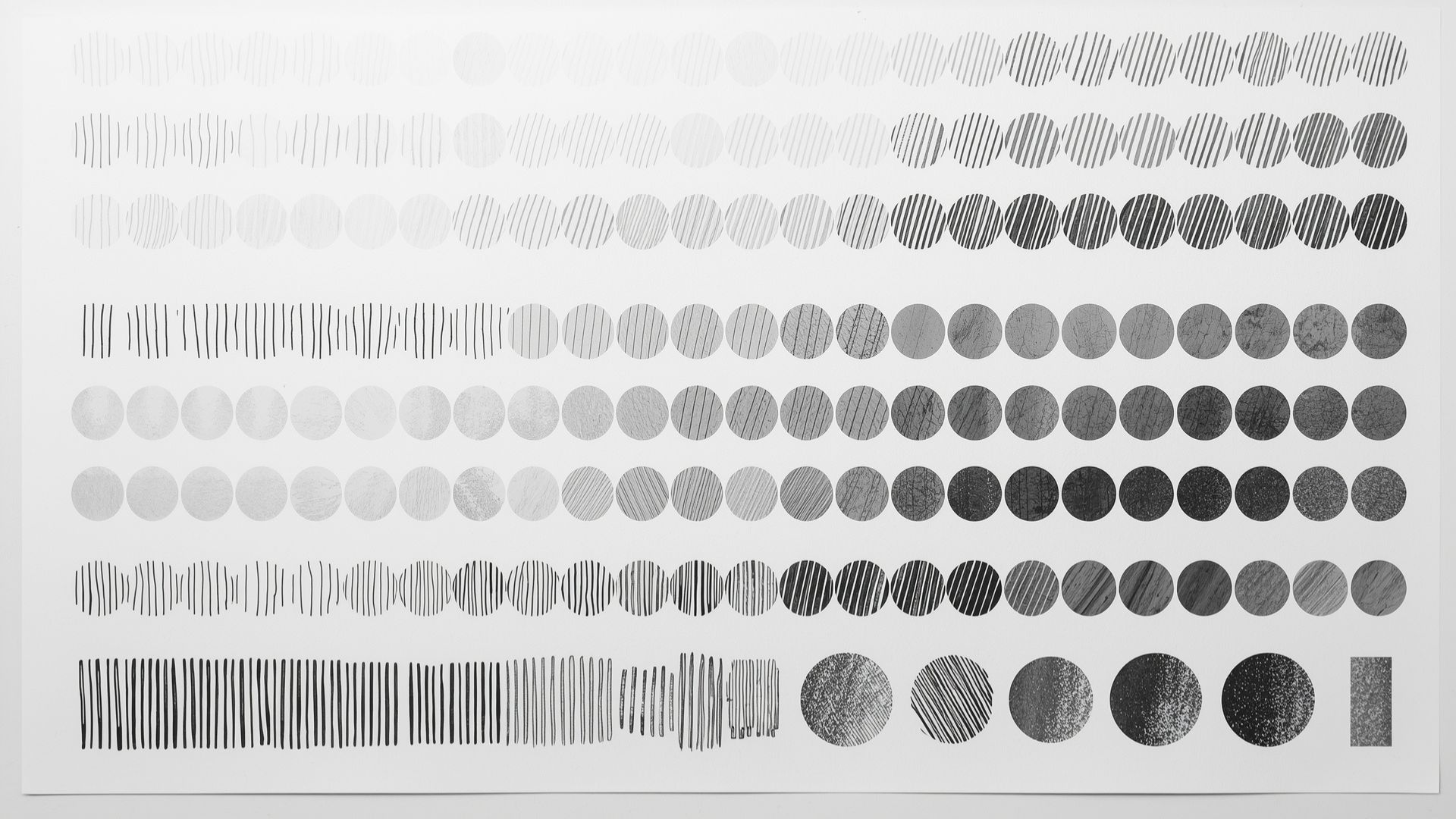Drawing Basics: 7-Day Roadmap to Learn Sketching Fast