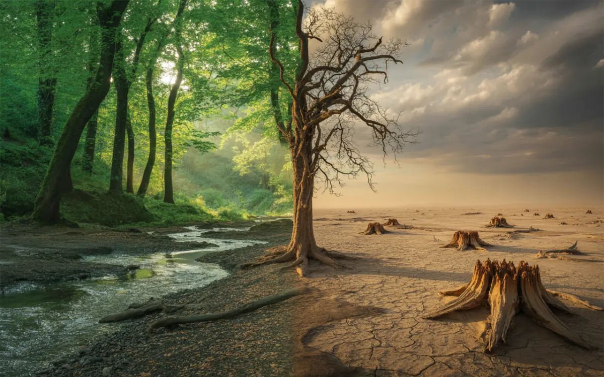 Climate Change and Our amazing Food: A Complete Guide